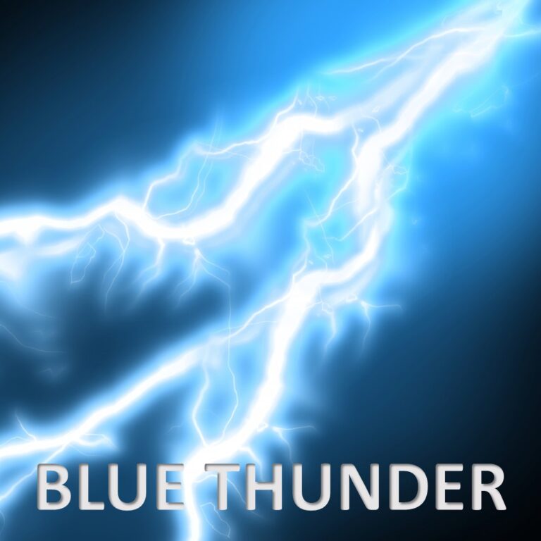 BLUE THUNDER - FX自動売買ステーション